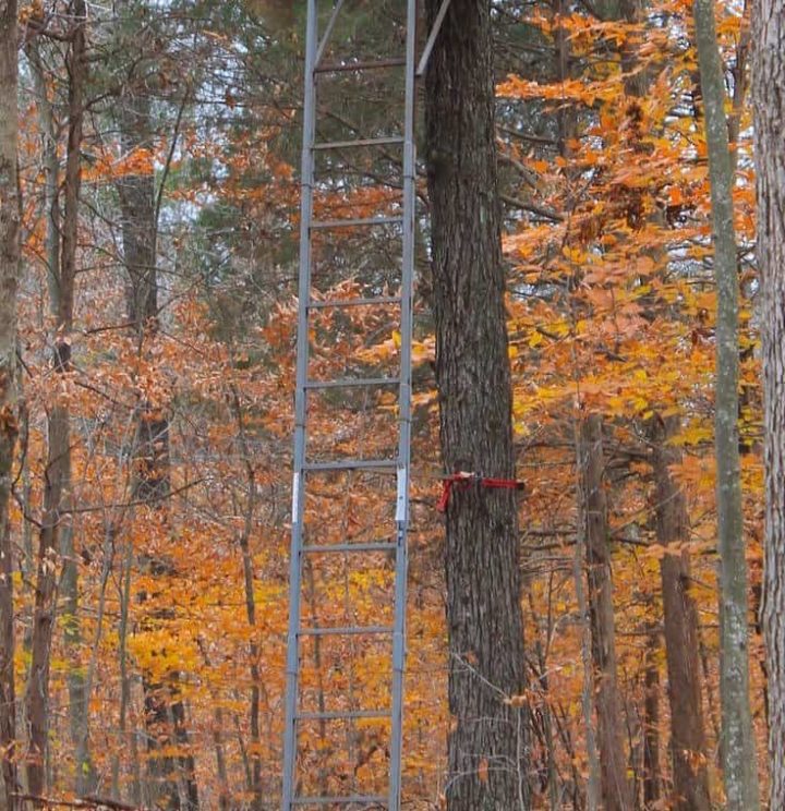 Deer & Minerals | Skunk Ape Tree Stands & Ladder Stands